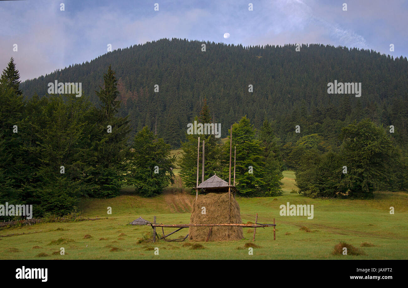 Hay moon hi-res stock photography and images - Alamy
