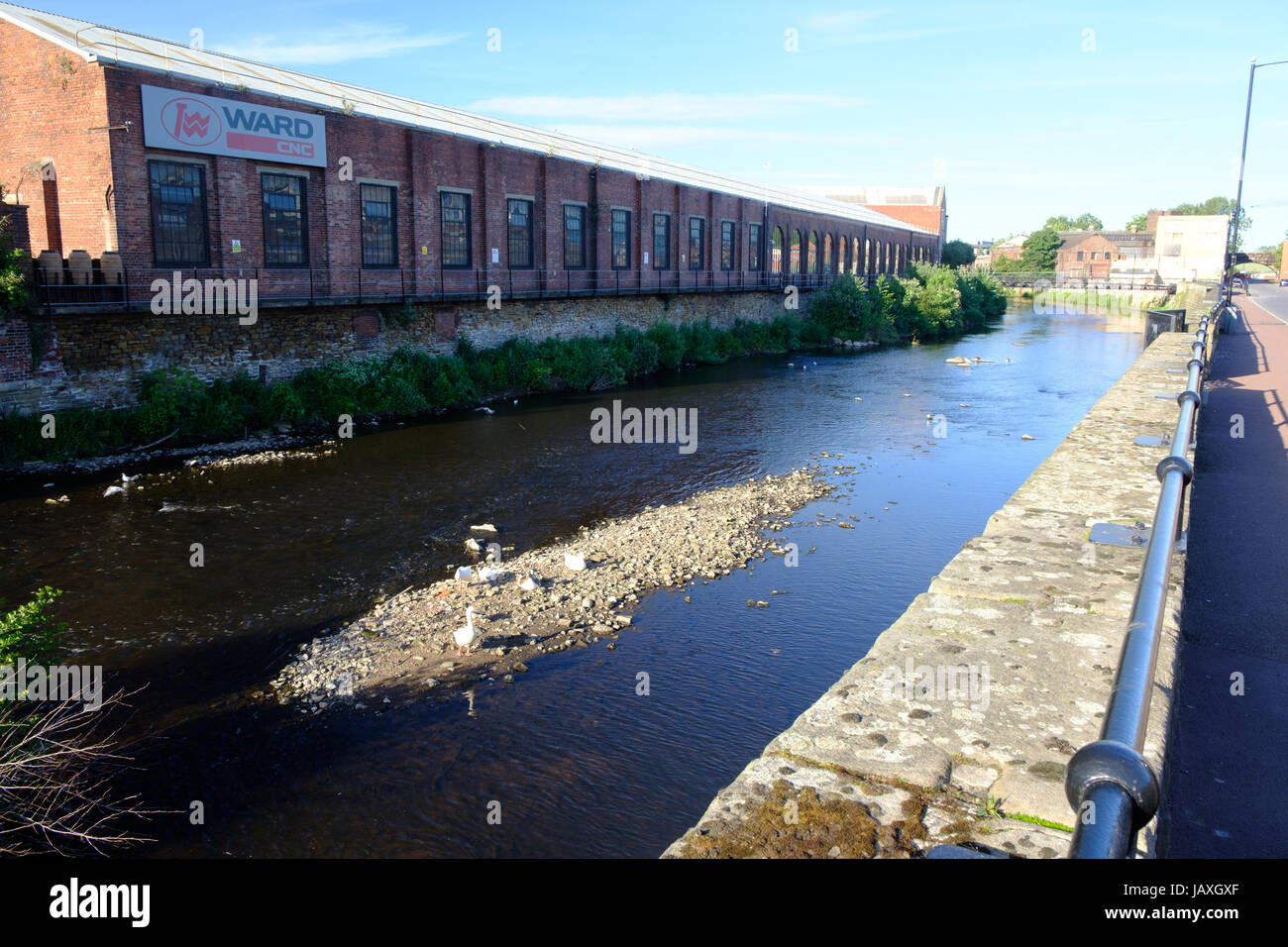 River don sheffield hi-res stock photography and images - Alamy