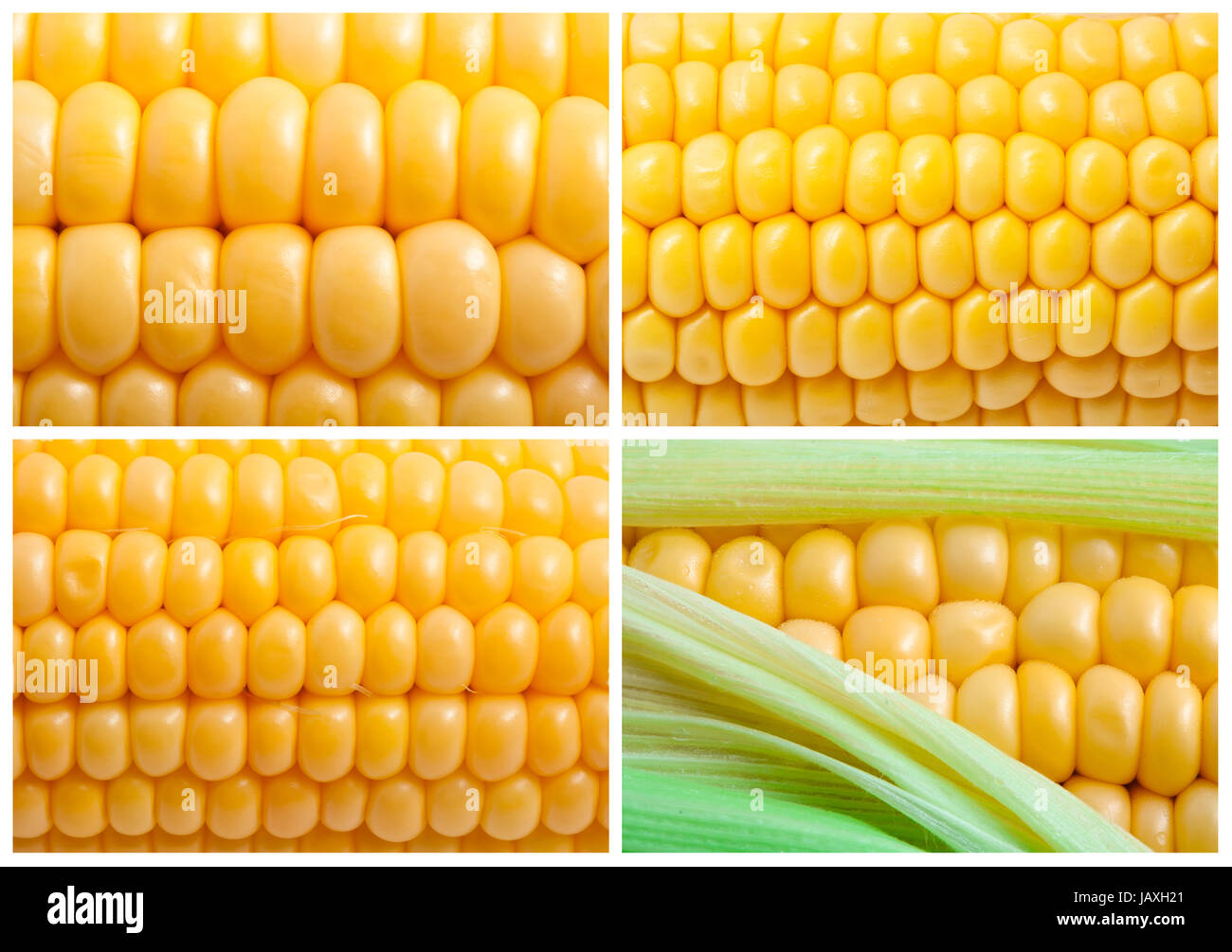 Fresh yellow corn background Stock Photo - Alamy