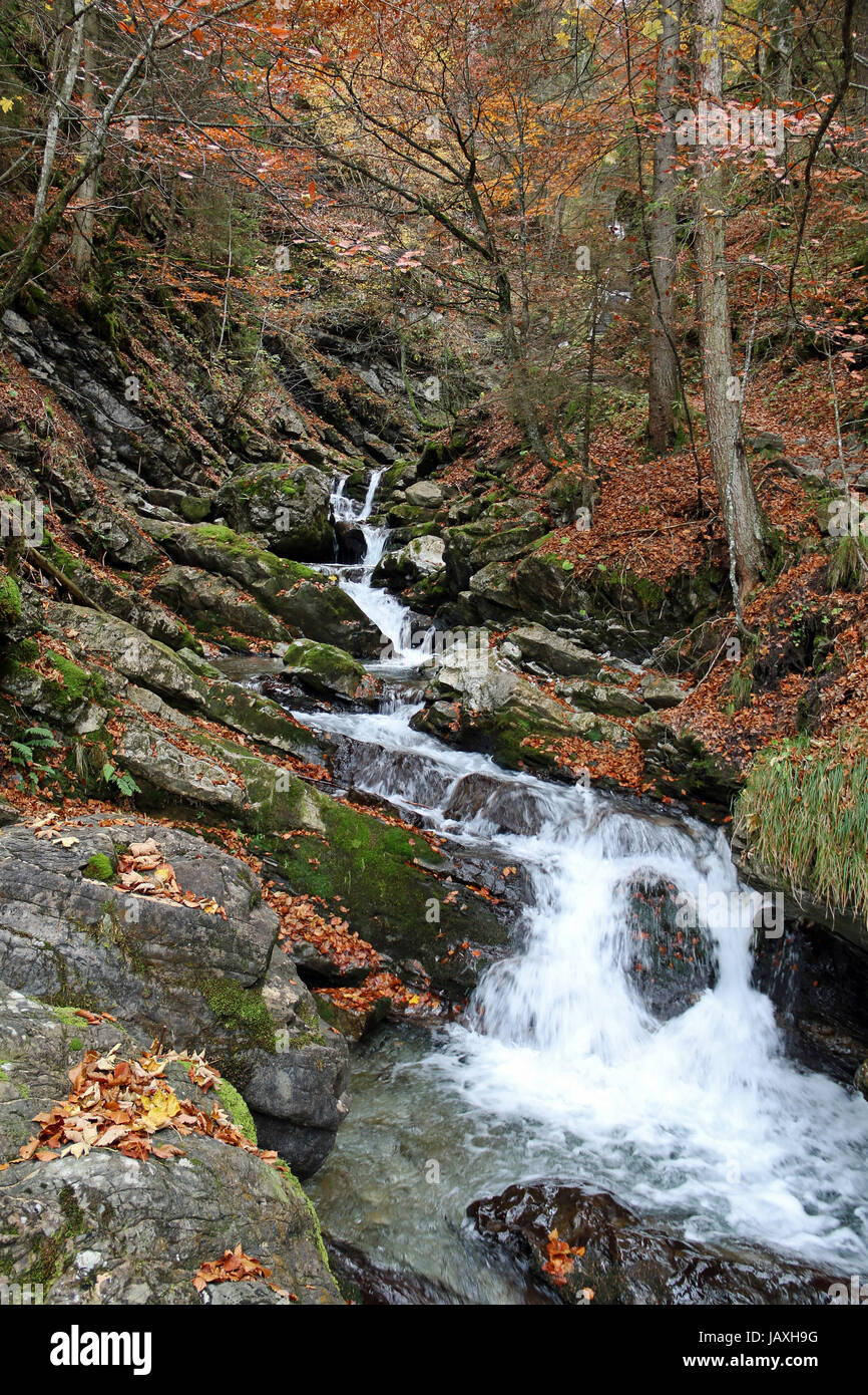 Vista fon hi-res stock photography and images - Alamy