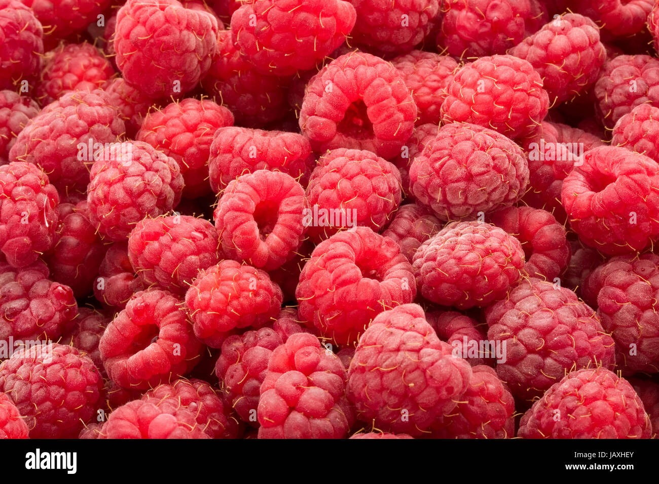 Many fresh red raspberries making beautiful background Stock Photo - Alamy