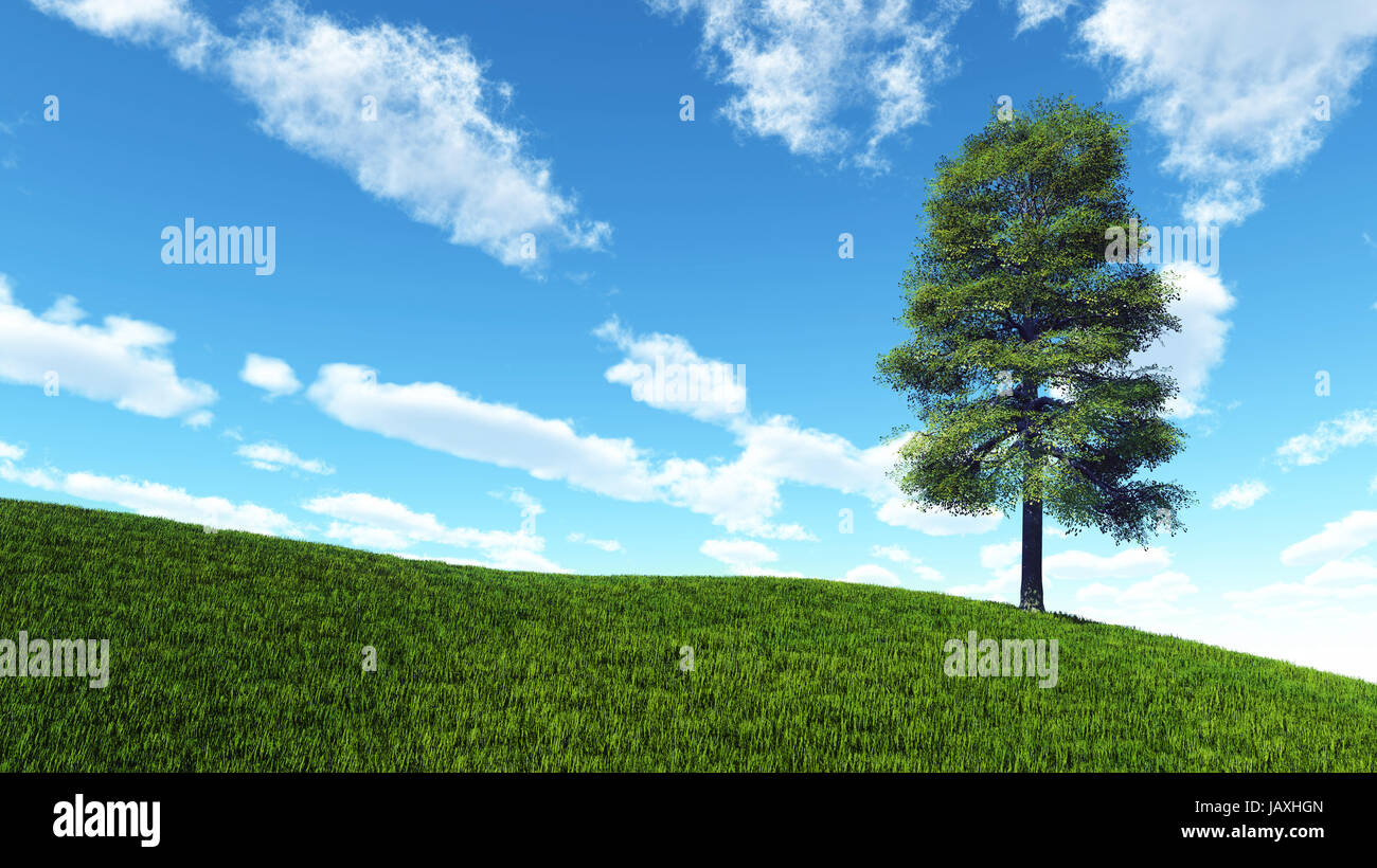 Einsamer Baum im Sommer Stock Photo - Alamy