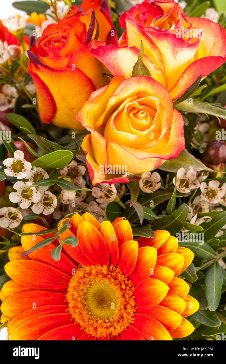 bunte frische blumen rosen in rot und orange dekoration festlich ostern ...