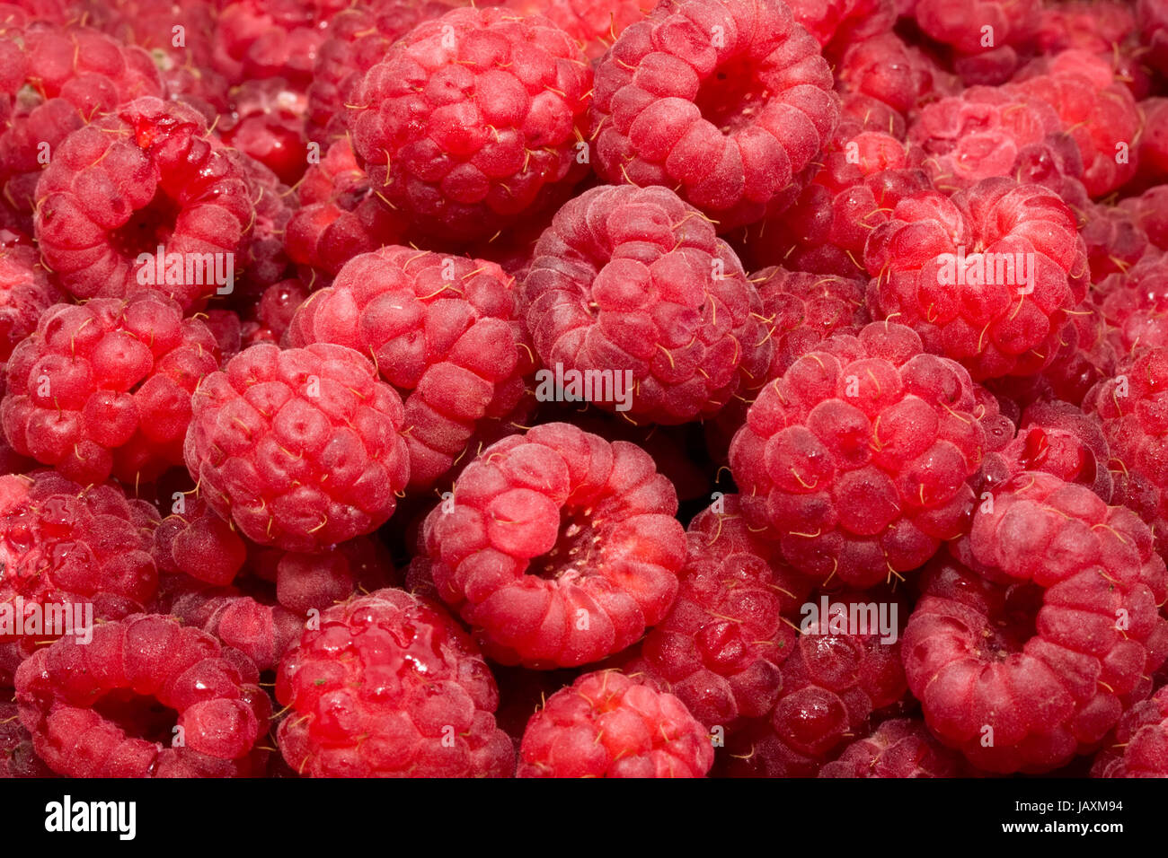 Many fresh red raspberries making beautiful background Stock Photo - Alamy