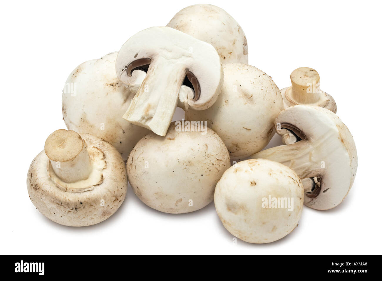 Fresh champignon mushrooms isolated on white background Stock Photo - Alamy
