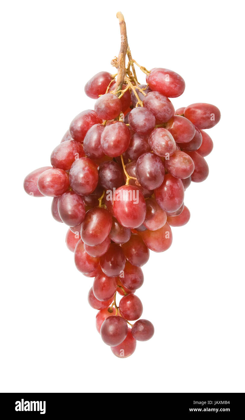 Branch of grapes isolated on white background Stock Photo - Alamy