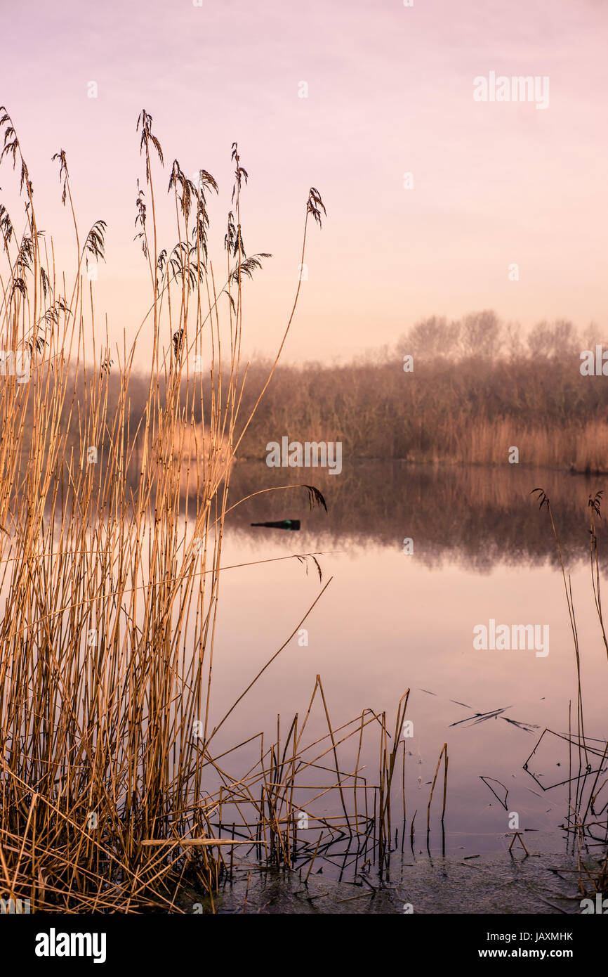 Small idyllic lake on a misty autumn morning Stock Photo - Alamy