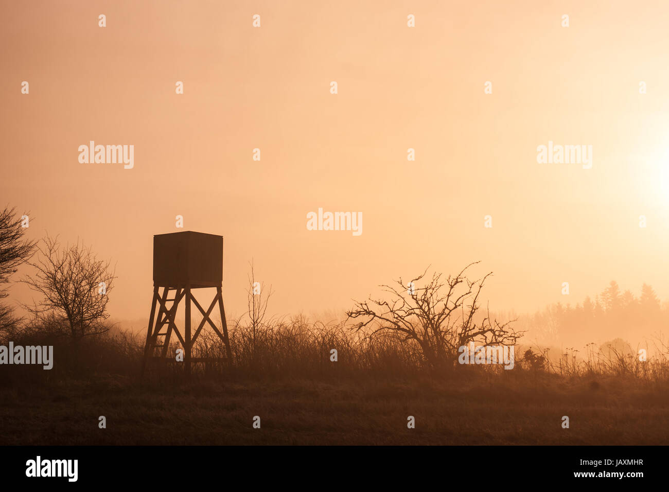 Hunters lookout tower in beautiful morning mist scenery Stock Photo - Alamy