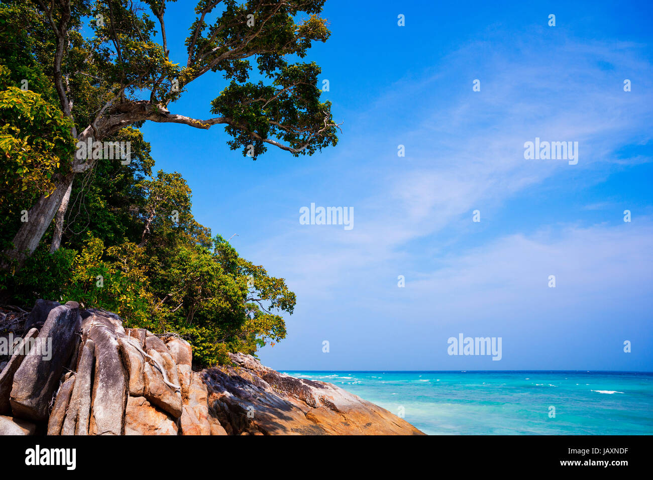 HDR shot of exotic tropical beach Stock Photo - Alamy