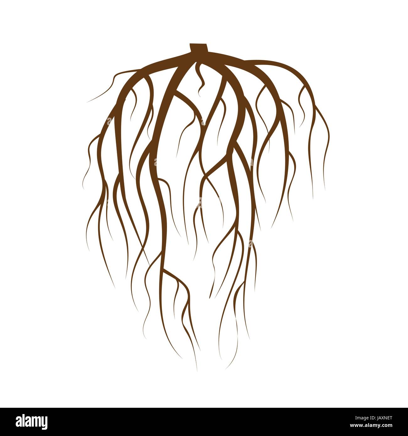 Tree Underground Roots Vector Set. Illustration Isolated Stock Vector ...