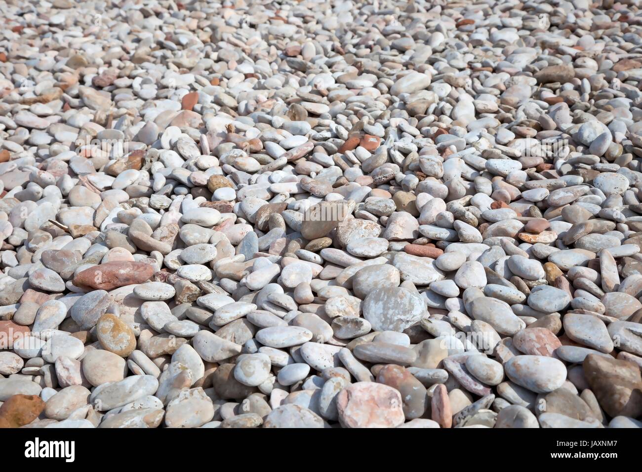 Pebbles on Elberry Cove beach, Devon, England Stock Photo - Alamy