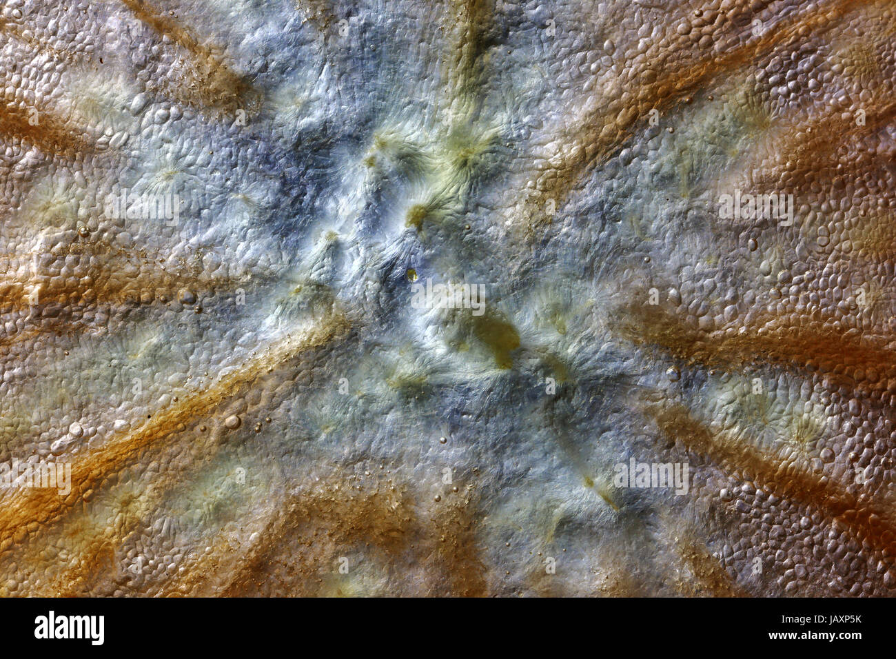 close up view disc Stock Photo - Alamy