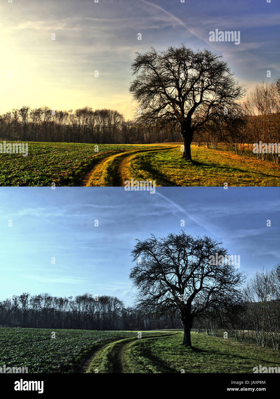 a winter - two faces Stock Photo - Alamy
