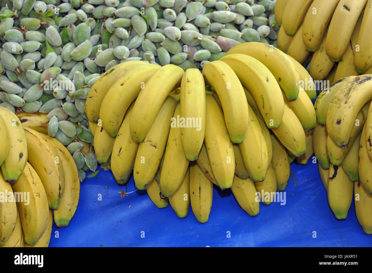 Bananenbaum hi-res stock photography and images - Alamy