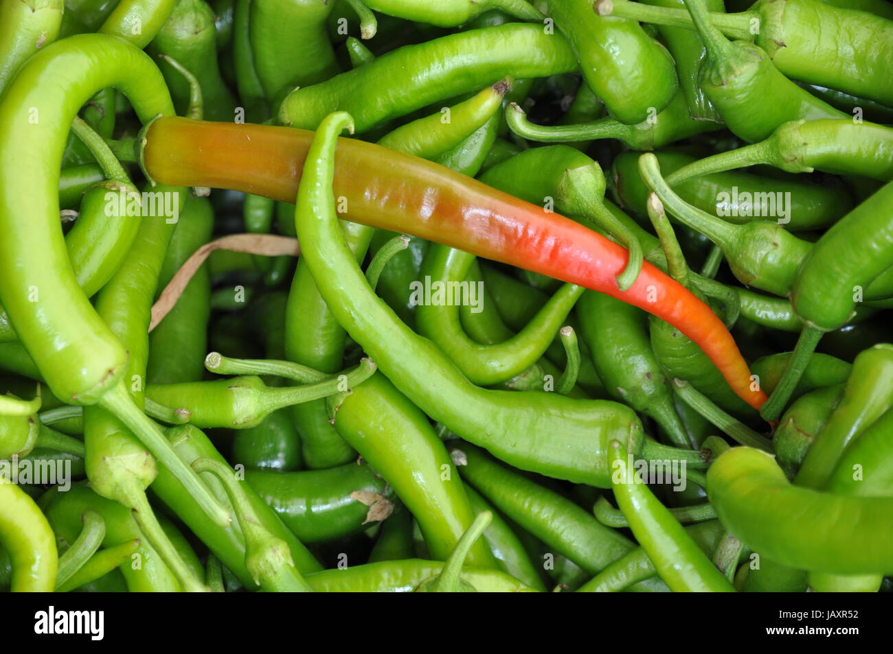 Rote peperoni hi-res stock photography and images - Alamy