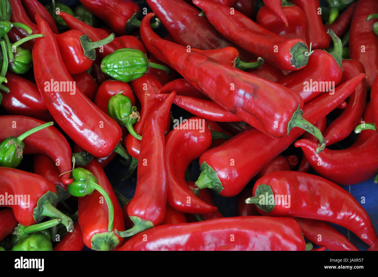 Rote peperoni hi-res stock photography and images - Alamy