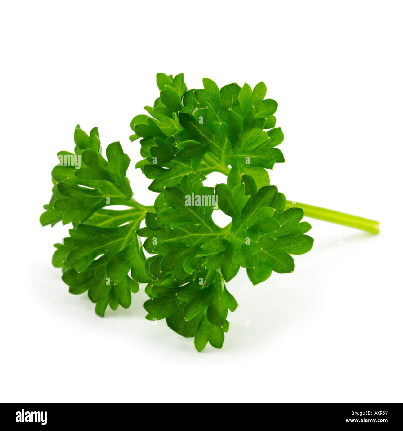 Peterli hi-res stock photography and images - Alamy