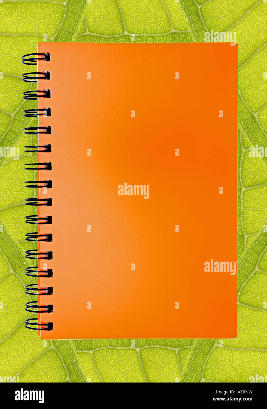 blank orange book on leaf background Stock Photo - Alamy