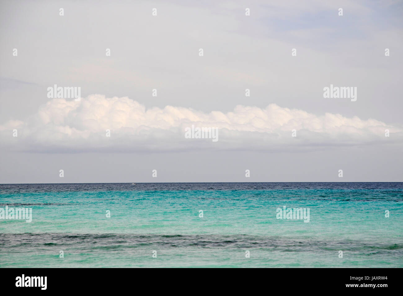 Gischt schaum hi-res stock photography and images - Alamy