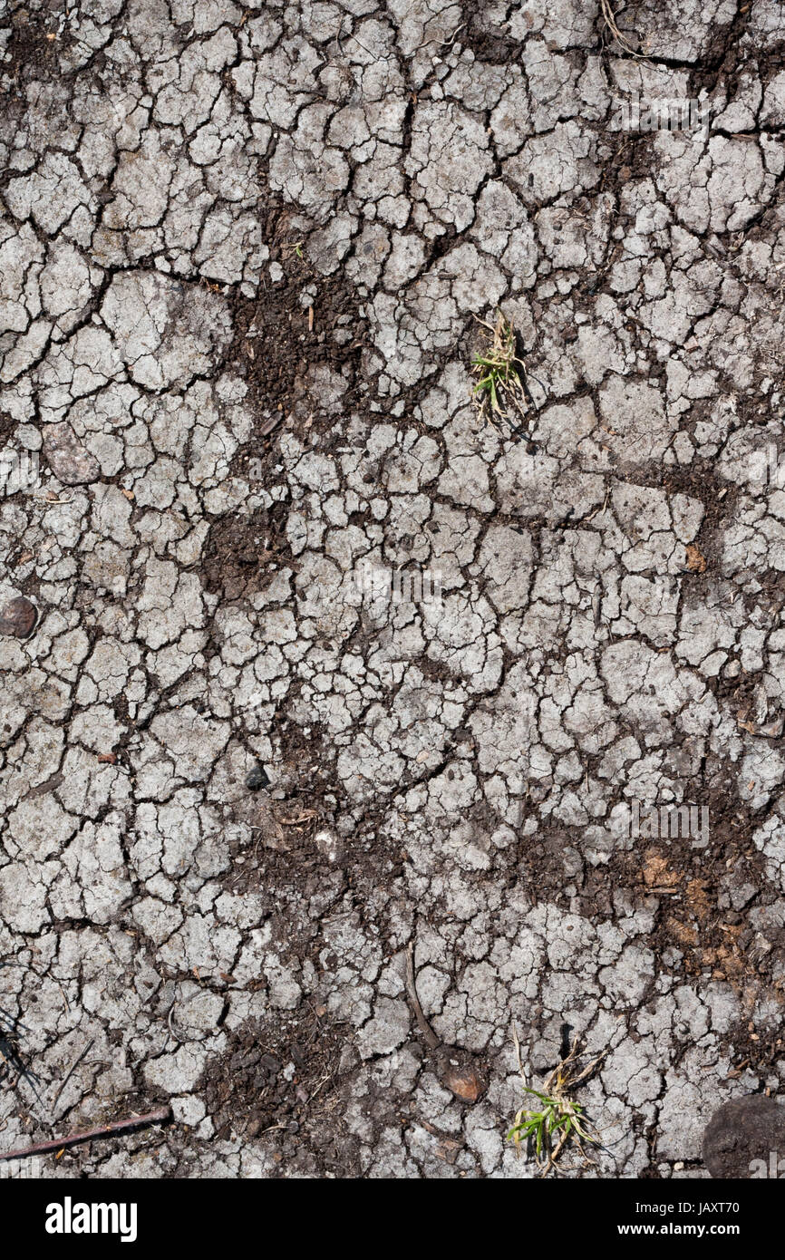 Land with dry cracked ground texture background Stock Photo - Alamy