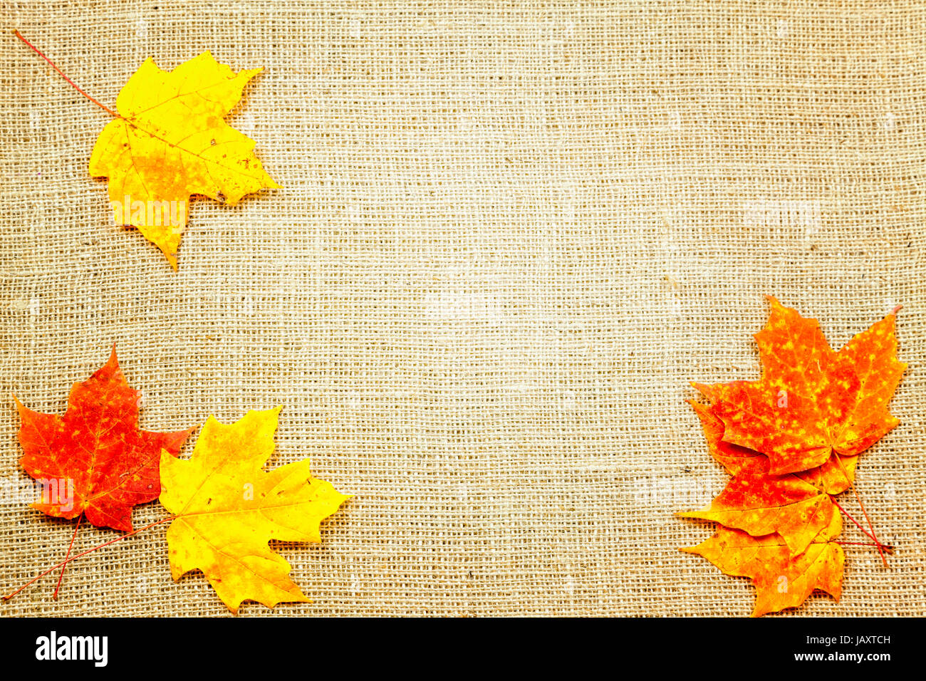 Fall-themed background of burlap and colorful leaves Stock Photo - Alamy