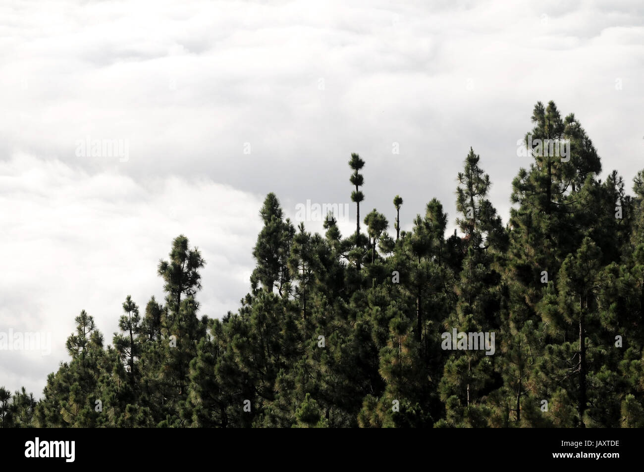 477c hi-res stock photography and images - Alamy