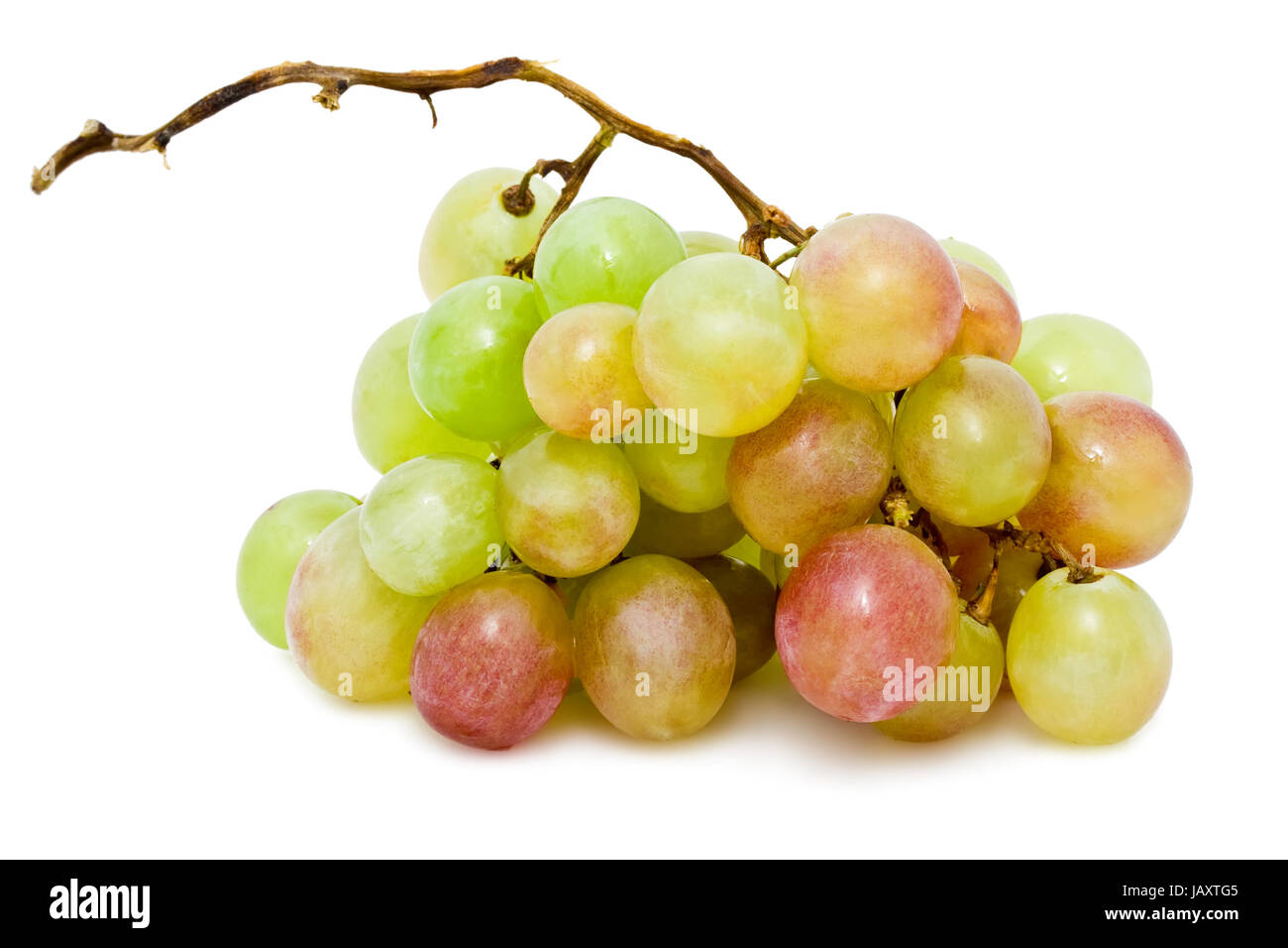 Branch of grapes isolated on white background Stock Photo - Alamy