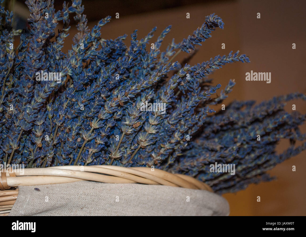 vase of flowers and fragrant French lavender Stock Photo - Alamy