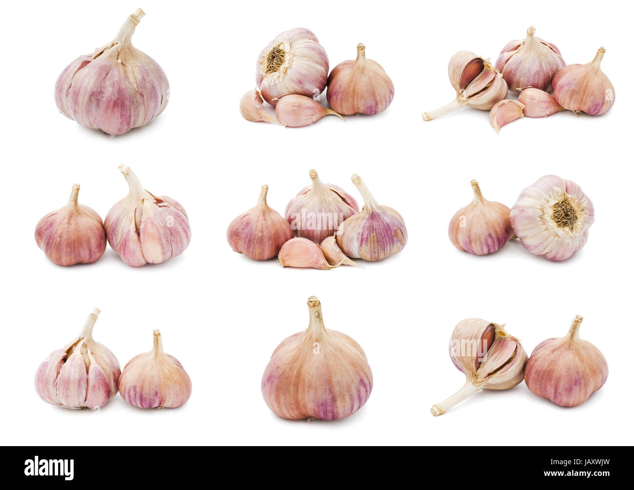 Collection of fresh young garlic isolated on white background Stock ...
