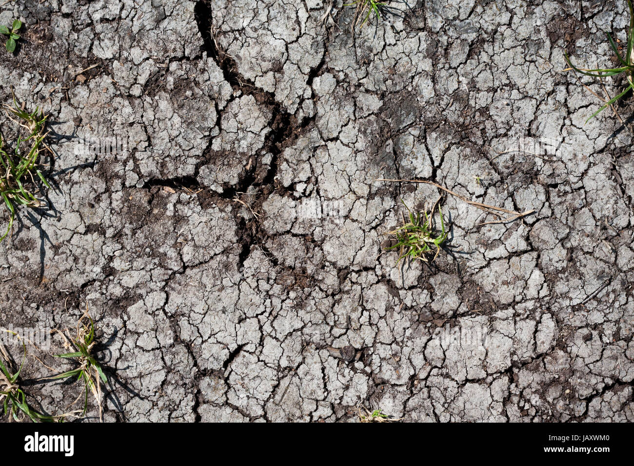 Land with dry cracked ground texture background Stock Photo - Alamy