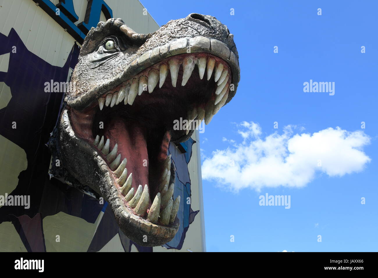 T rex head hi-res stock photography and images - Alamy
