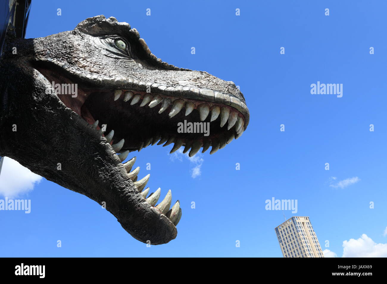 T rex head hi-res stock photography and images - Alamy