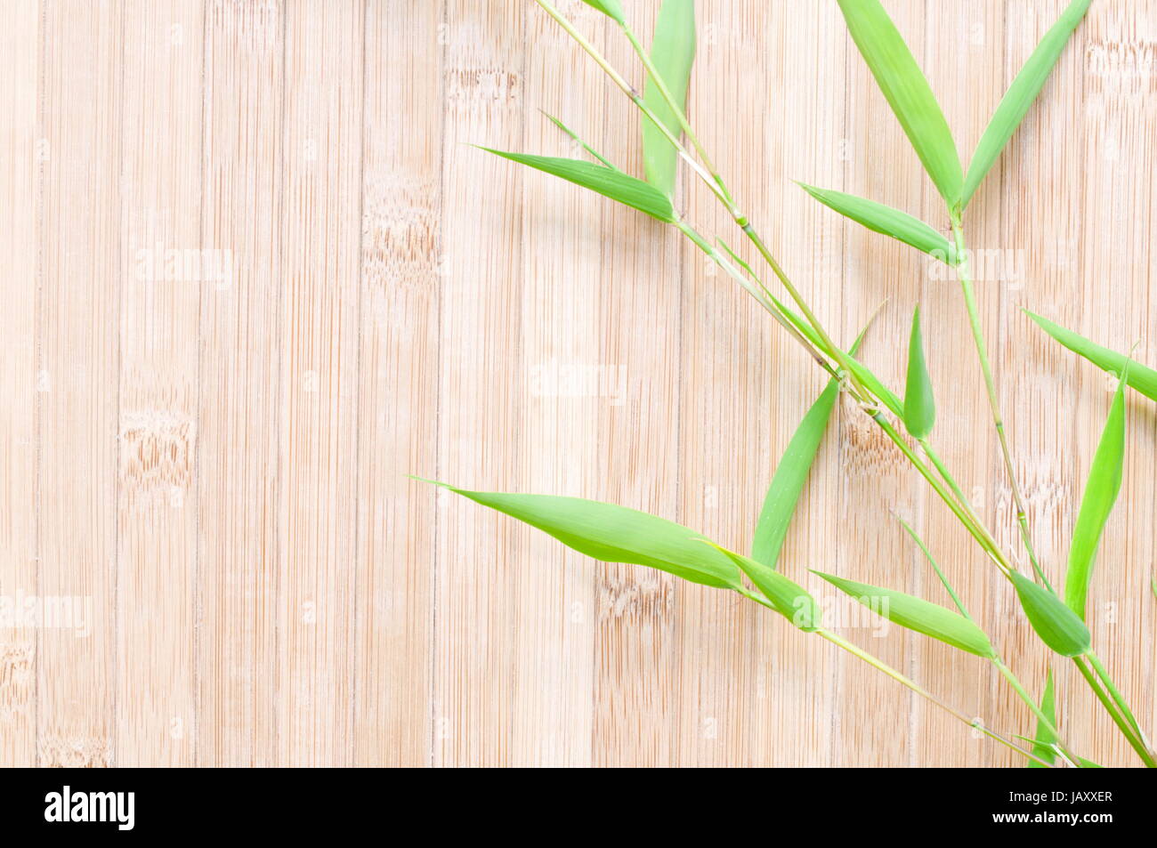 Shaping bamboo hi-res stock photography and images - Alamy