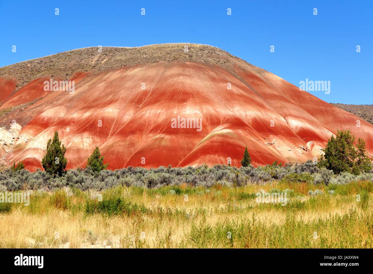 Smectit hi-res stock photography and images - Alamy