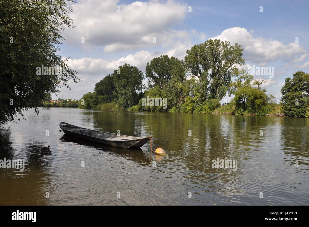 boot, kahn, nachen, Main , Seligenstadt, fluss, gewässer, landschaft ...