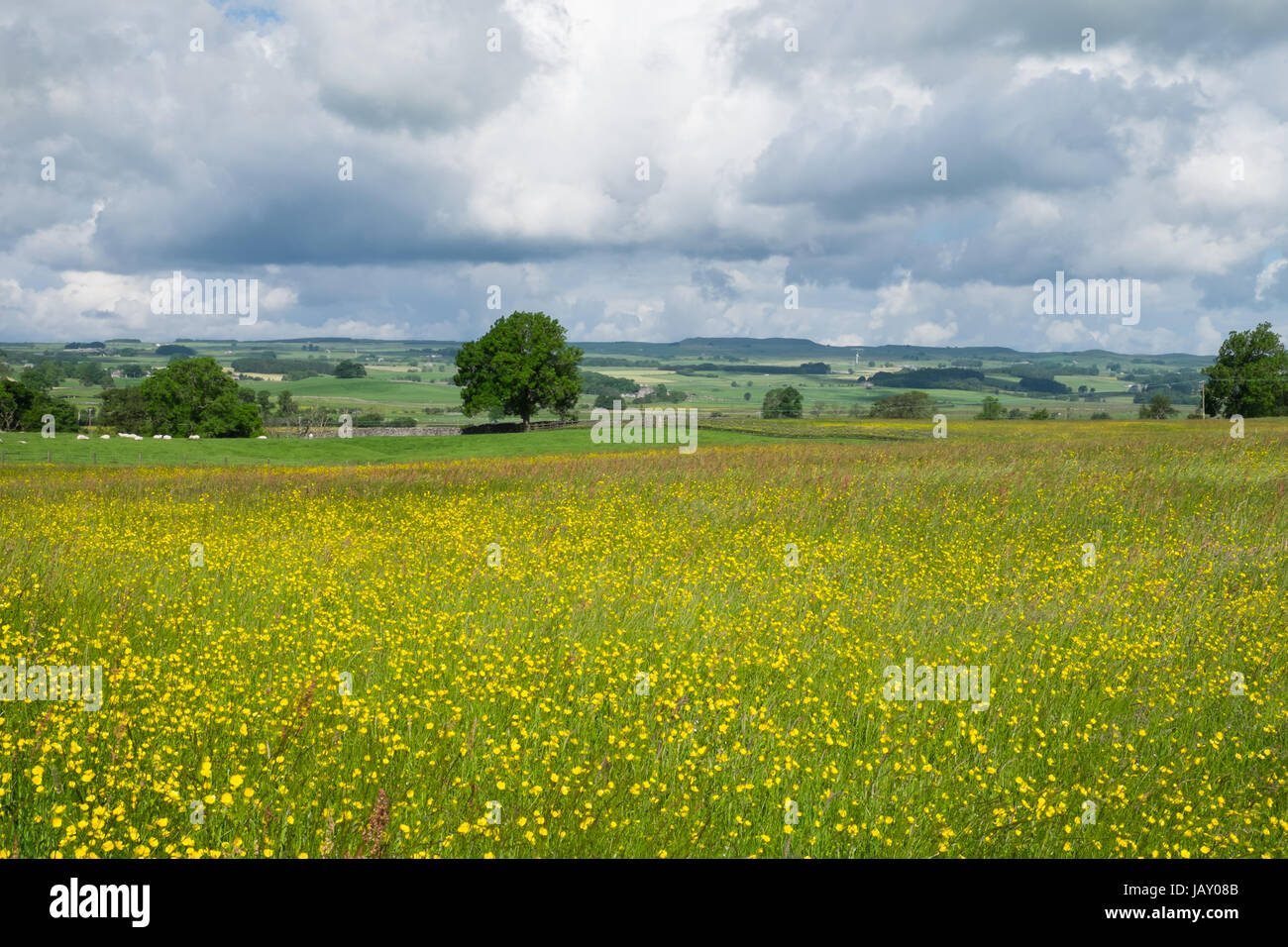 Long preston yorkshire hi-res stock photography and images - Alamy
