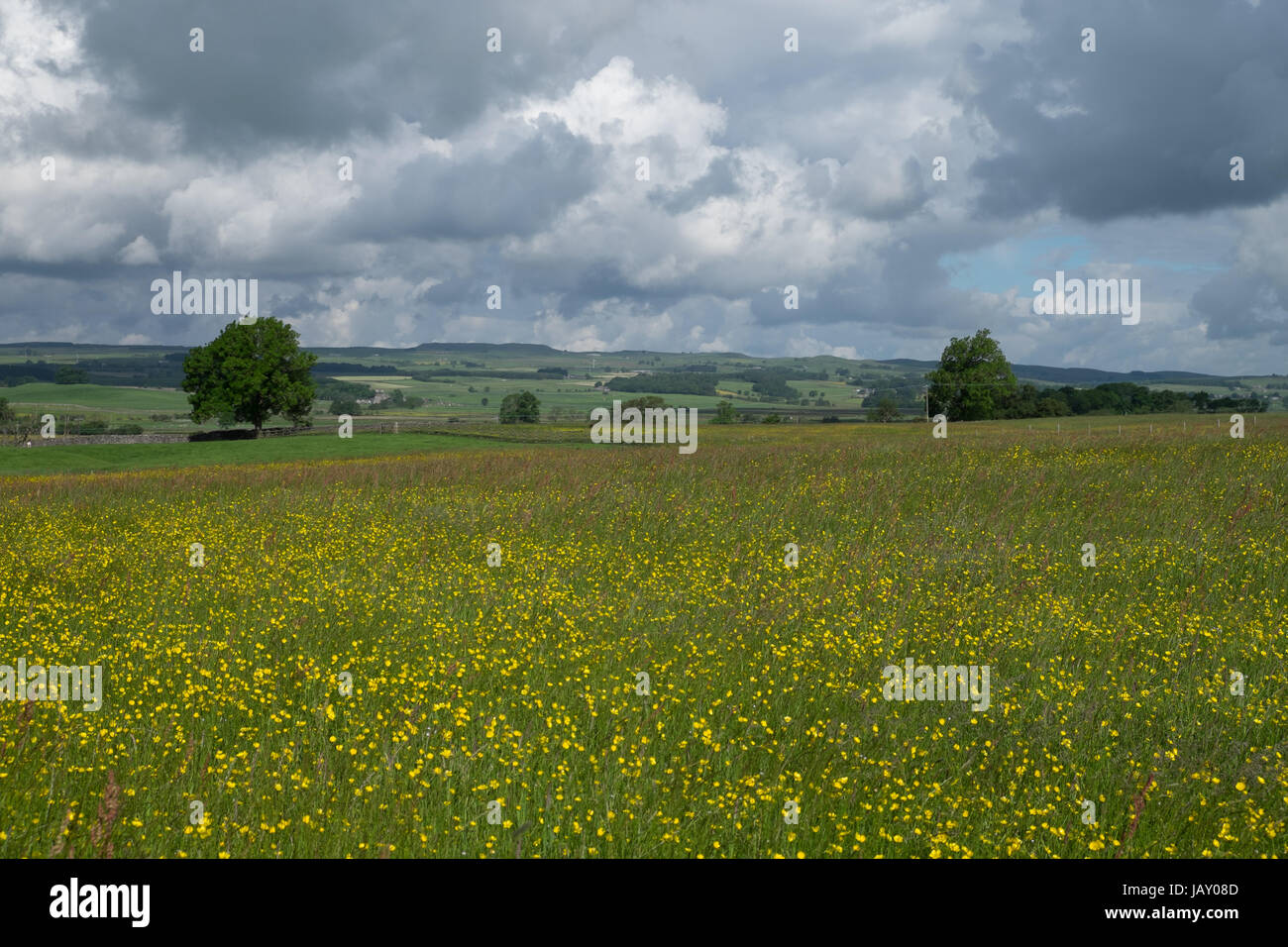 Cloud meadow uk summer hi-res stock photography and images - Alamy