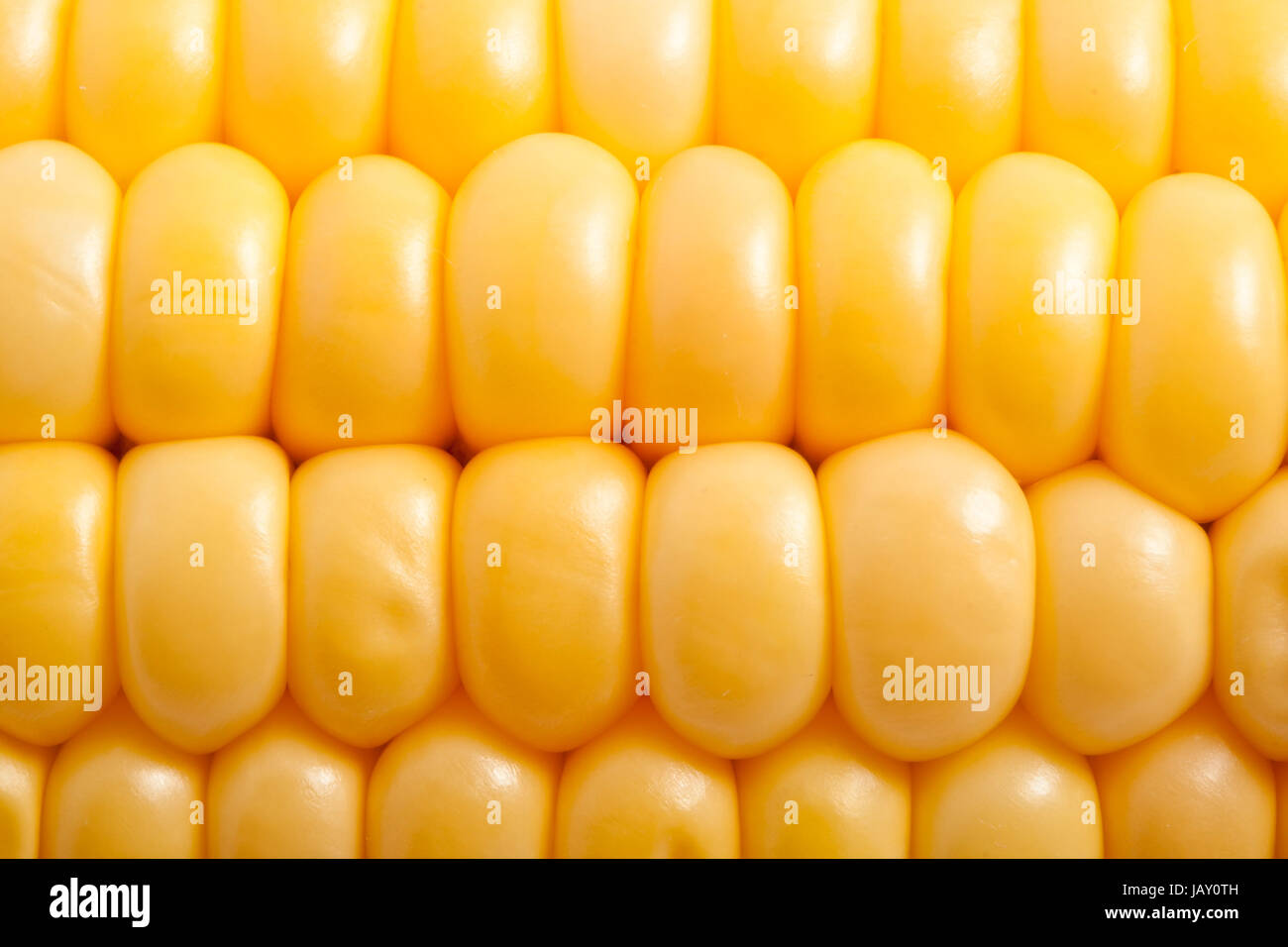 Macro photo of yellow corn background, healthy and tasty food Stock ...