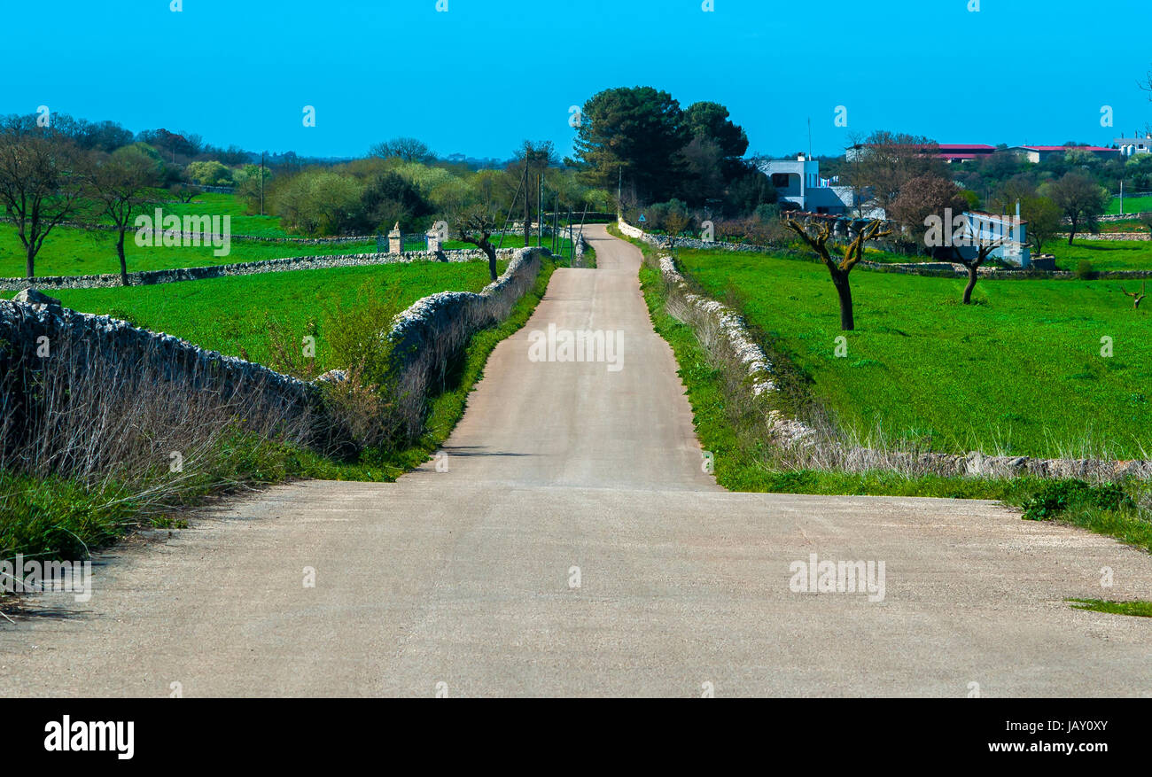 beautiful rural way between stone walls. Apulia Stock Photo - Alamy