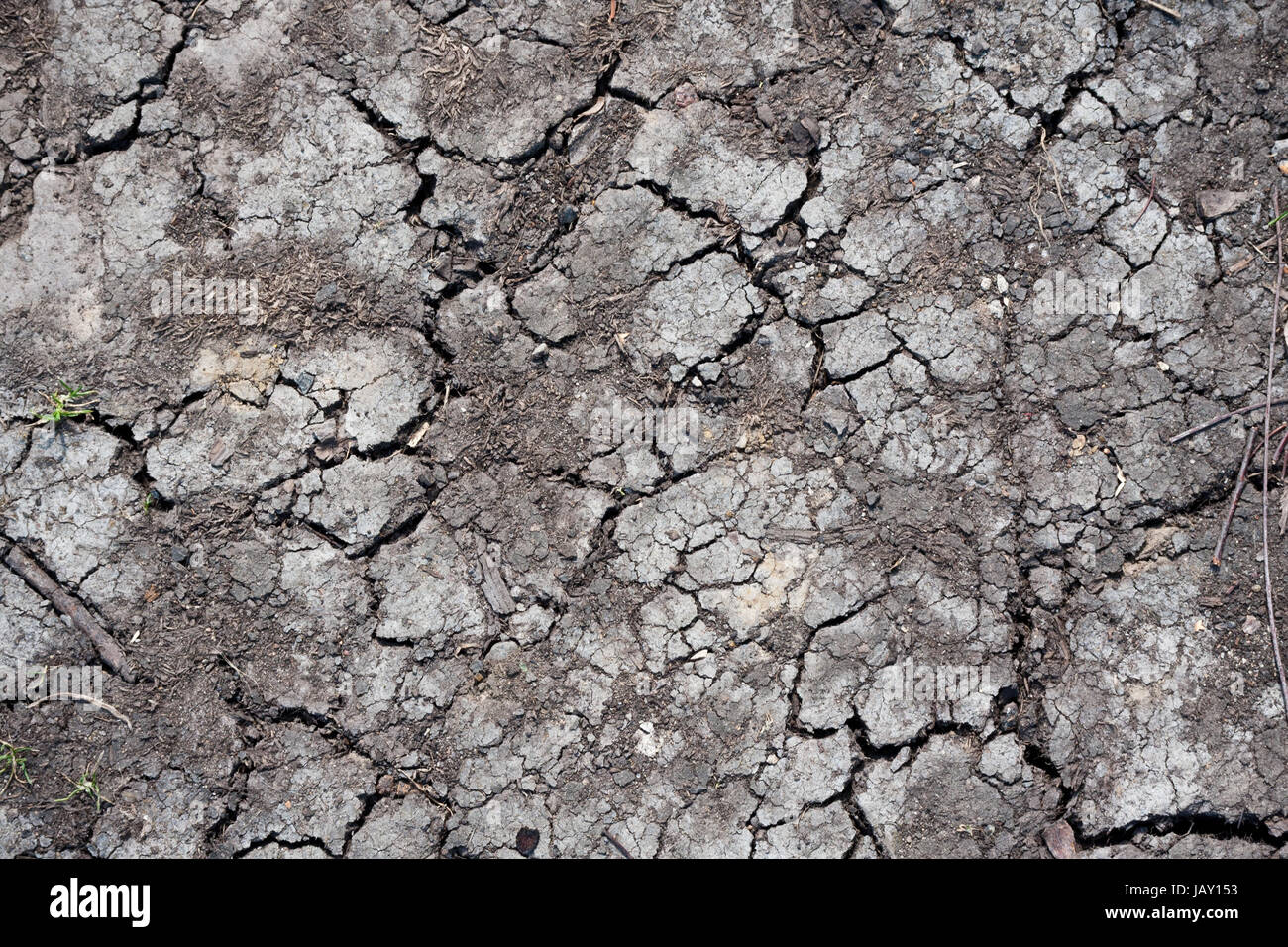 Land with dry cracked ground texture background Stock Photo - Alamy