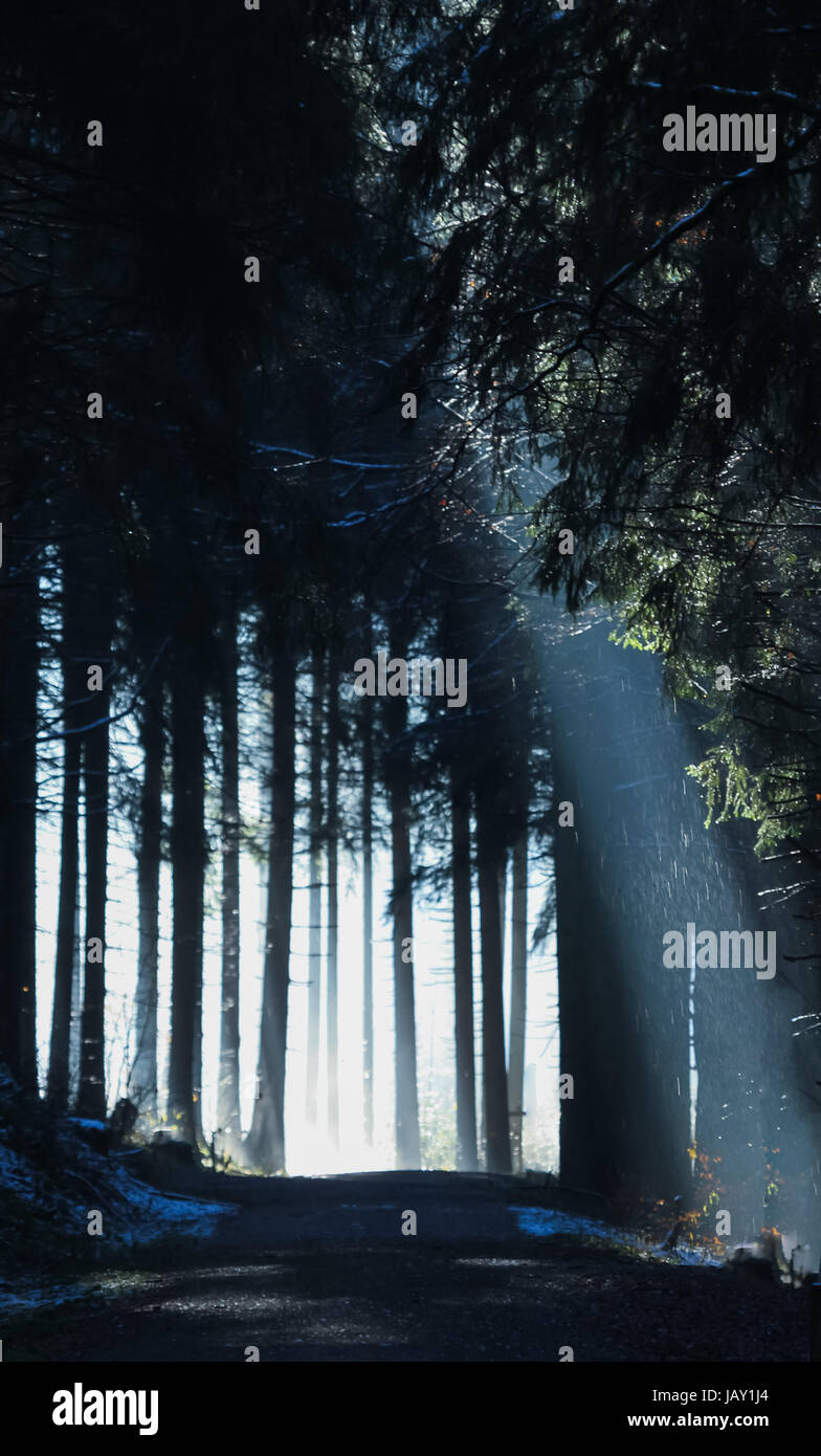 beam of light Stock Photo - Alamy