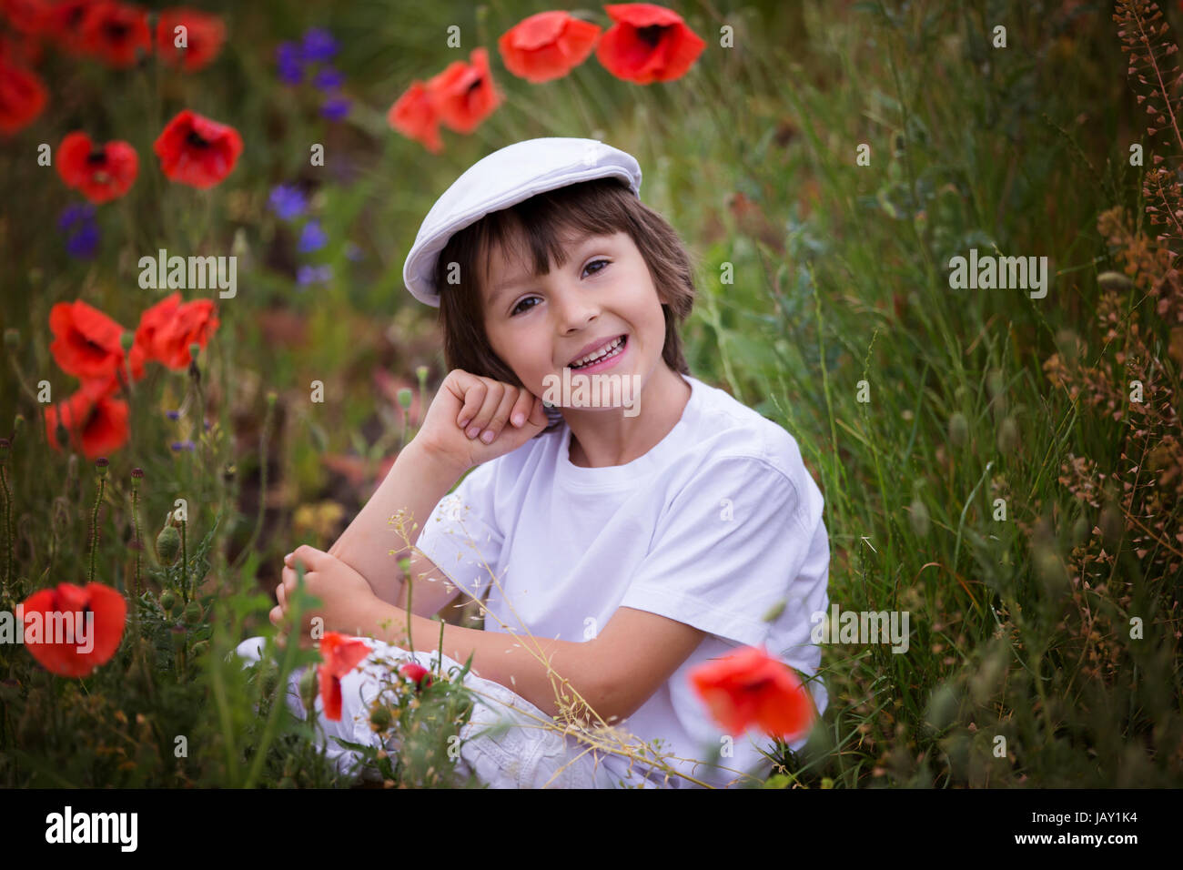 Preschool child in a poppy field, springtime, gathering wild flowers ...