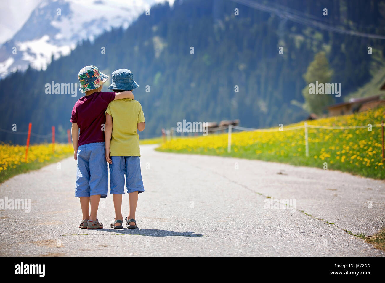 Children, boys, walking on a rural path in Swiss Alps, springtime Stock ...