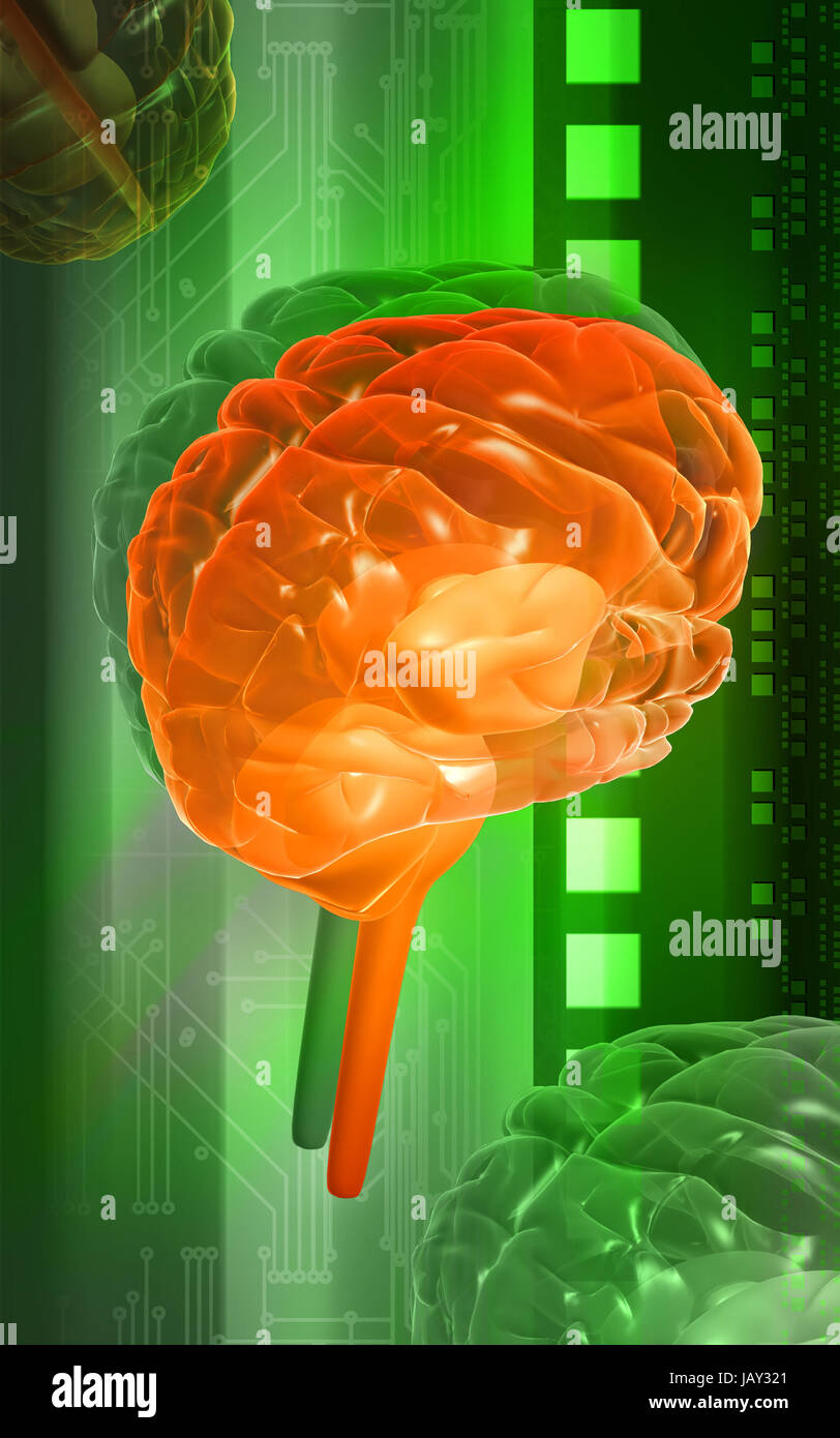 Behaviour science hi-res stock photography and images - Alamy