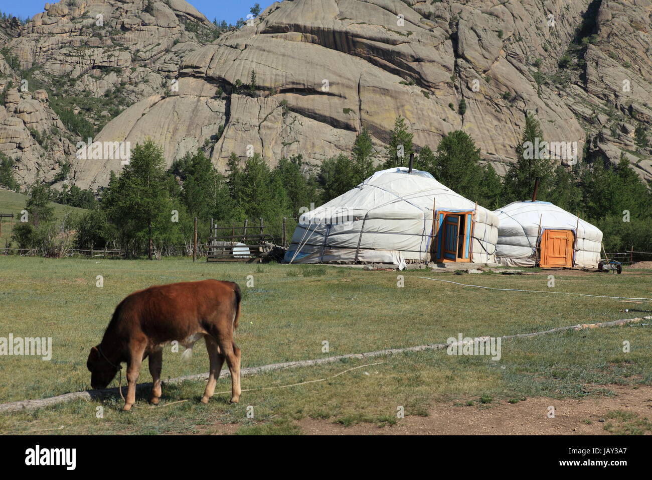 Tent colony hi-res stock photography and images - Alamy