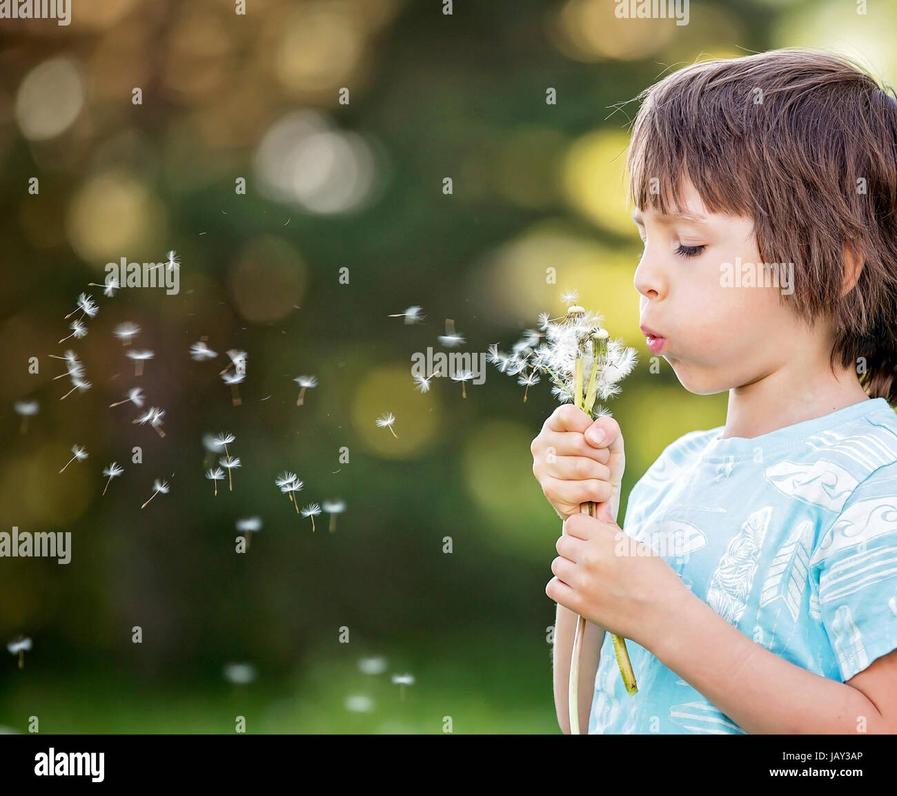 Child having fun, blowing dandelions. Childhood happiness concept, boy ...
