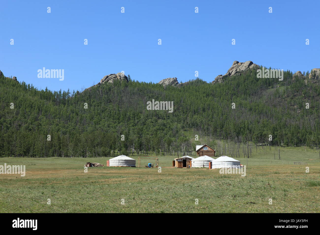 yurt tent village in mongolia Stock Photo - Alamy