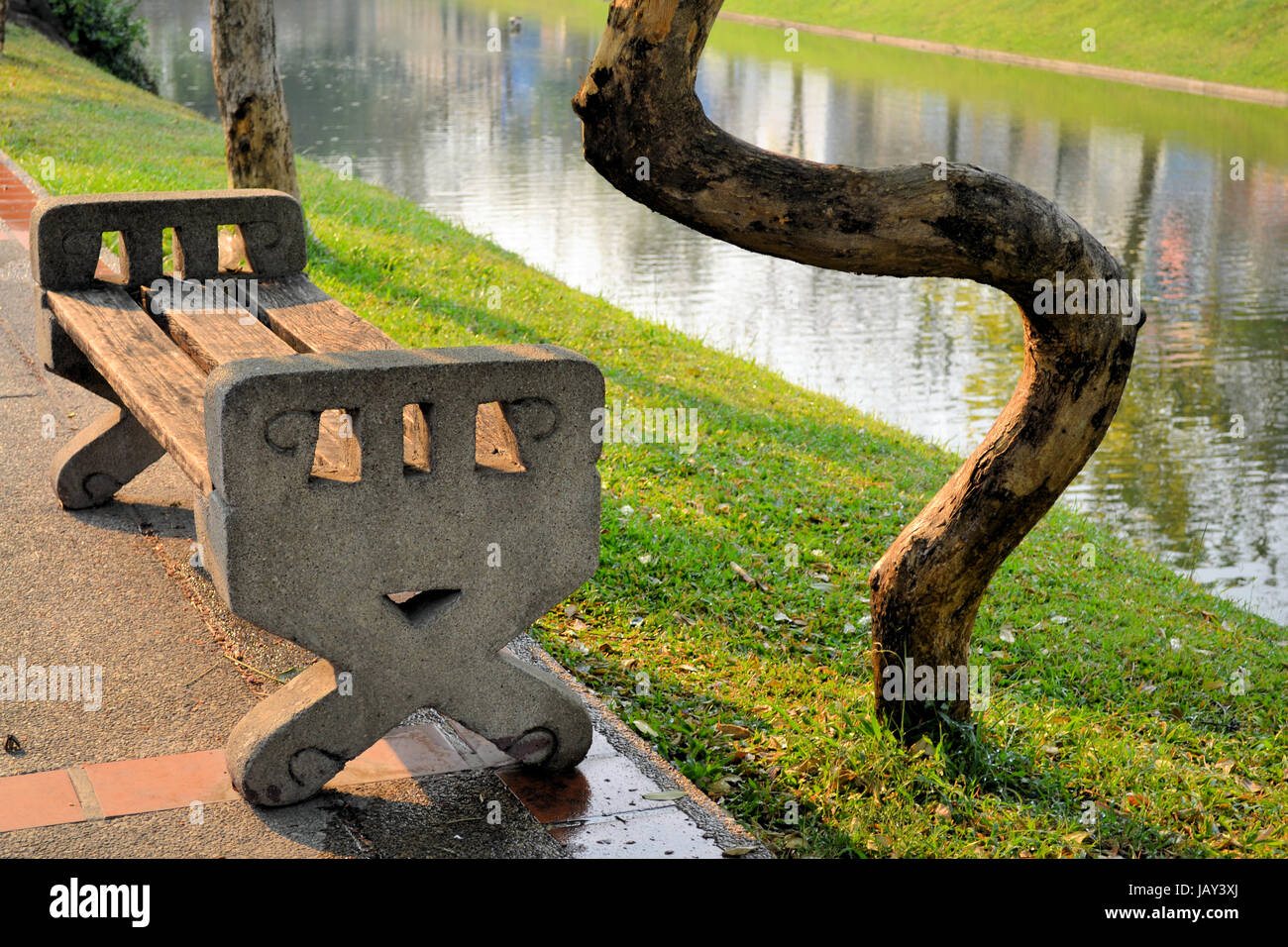 Tree growing around bench hi-res stock photography and images - Alamy