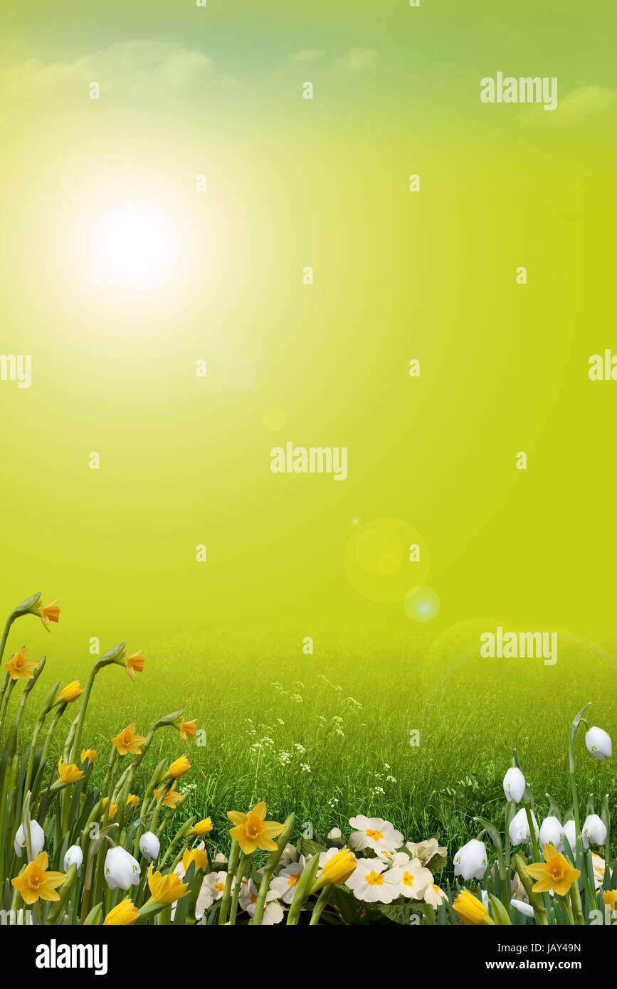 Lime green and yellow spring background with space for copy, flowers ...
