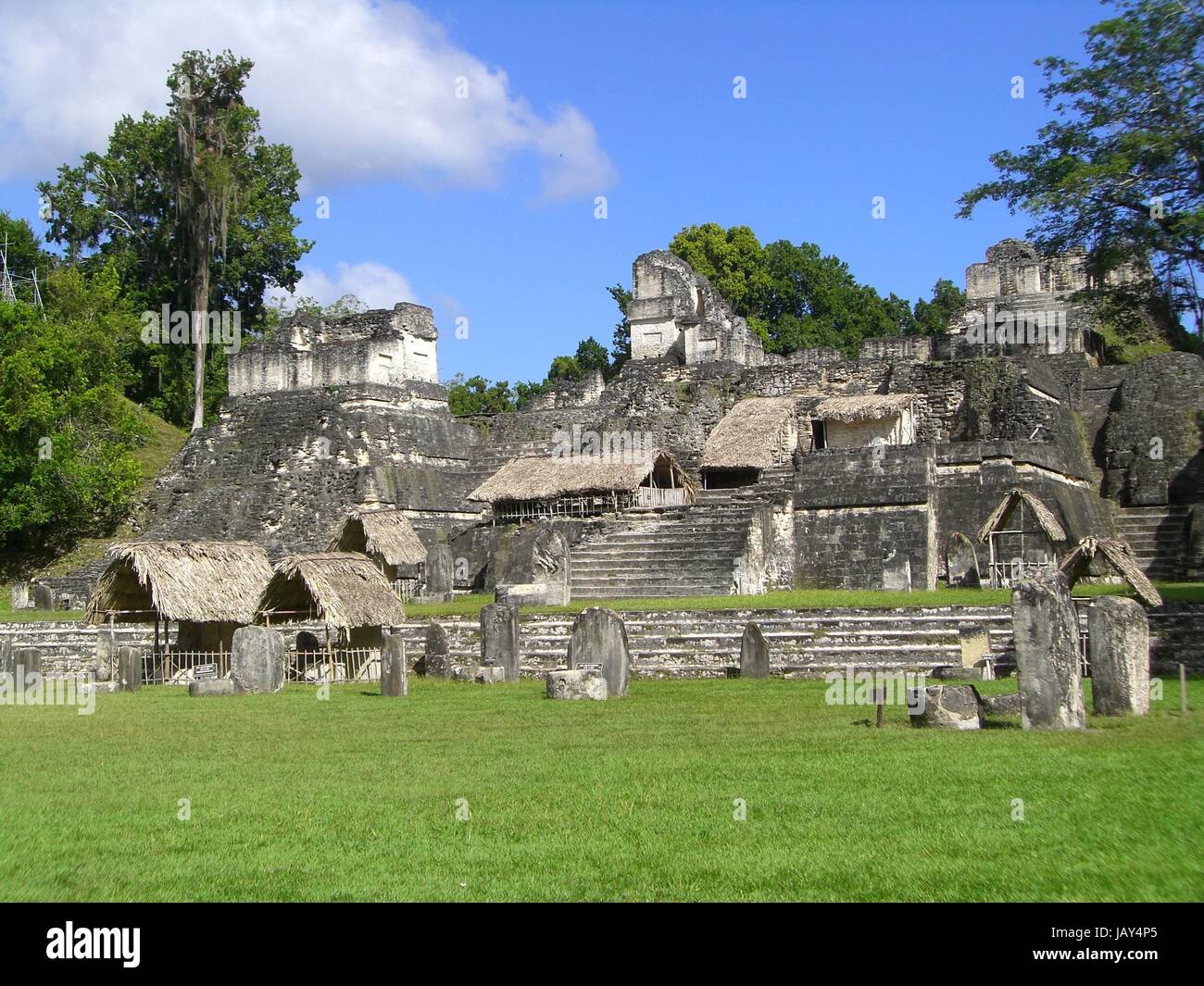 Tikal ruin rain forest hi-res stock photography and images - Alamy